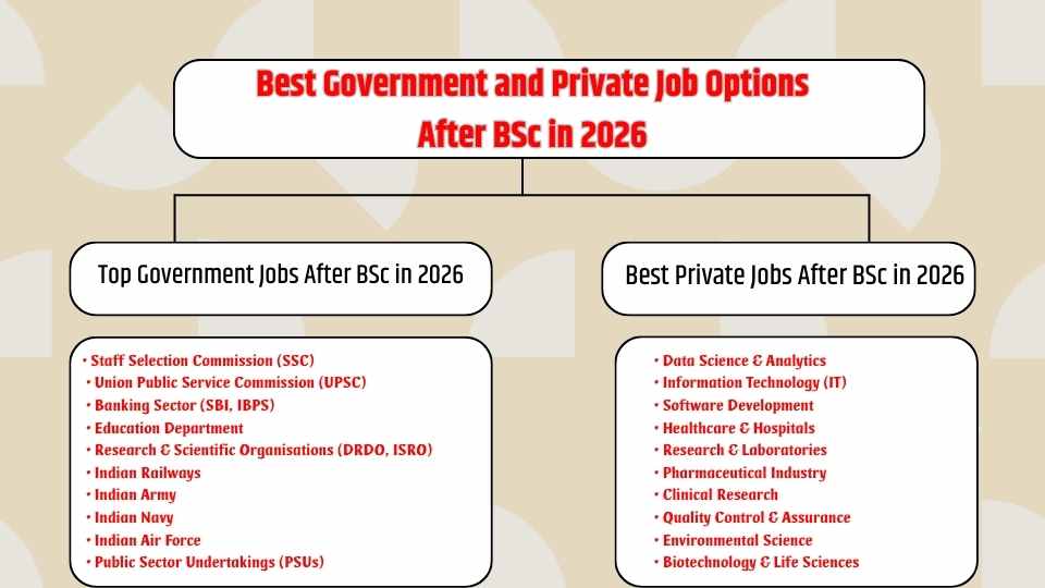 Best Government and Private Job Options After BSc in 2026